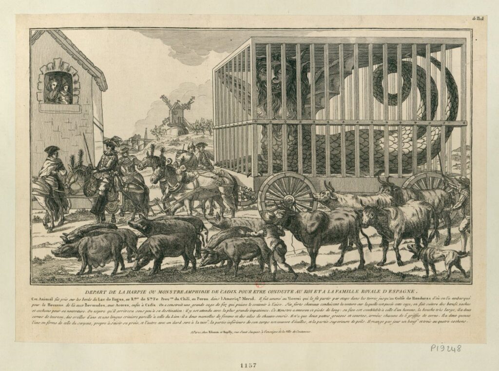 Nunca lo mires a los ojos: la leyenda del monstruo de la extinta laguna ...