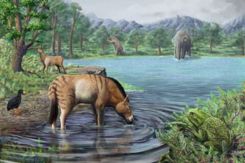 Nunca lo mires a los ojos: la leyenda del monstruo de la extinta laguna ...